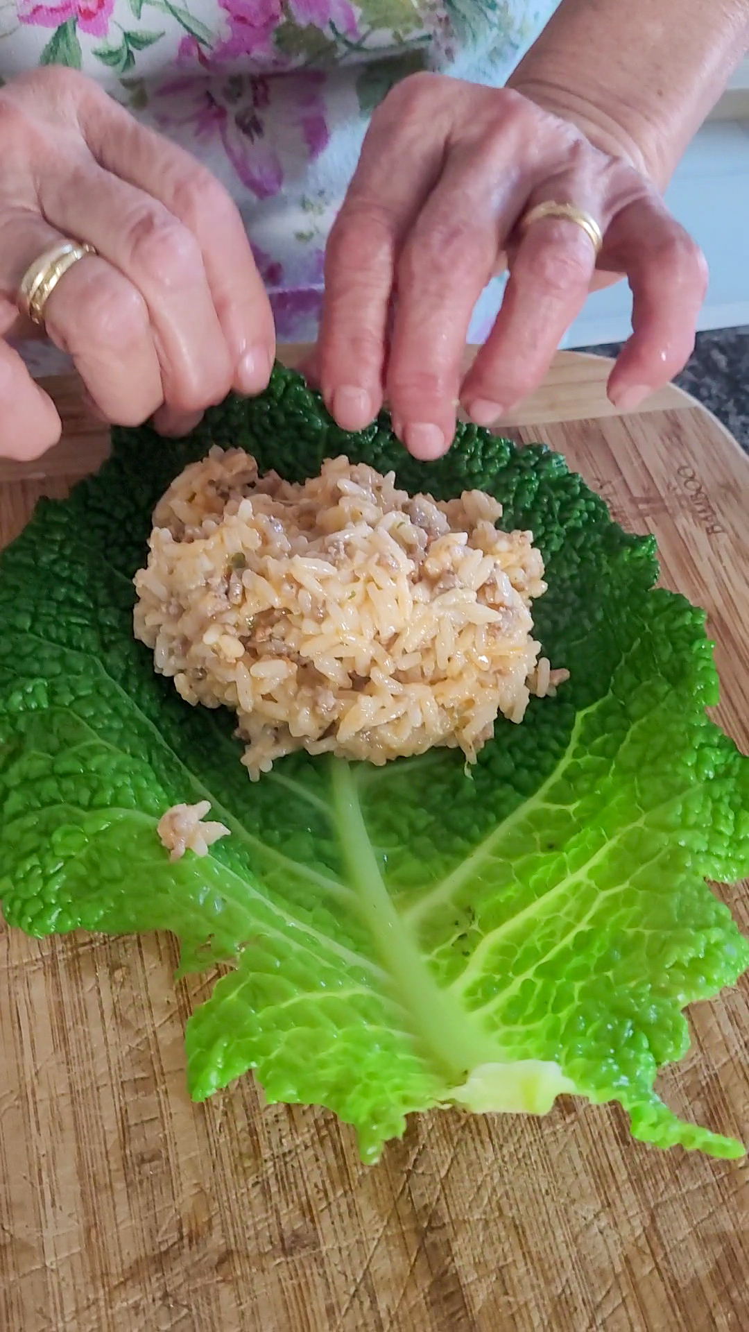 Nonna Elda Cooks Cabbage Rolls – Nonna Elda Cooks